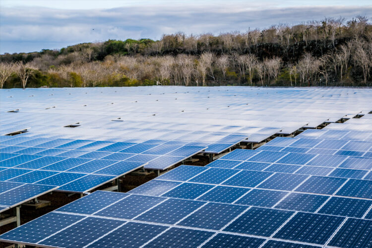 Home English - OLADE